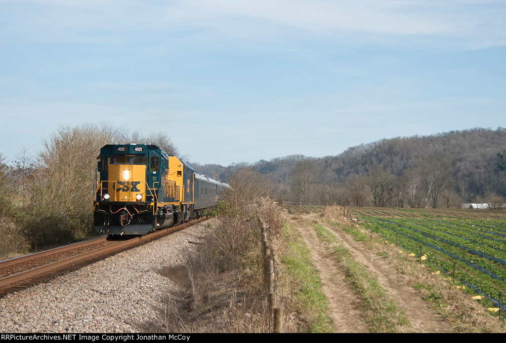 CSX P319